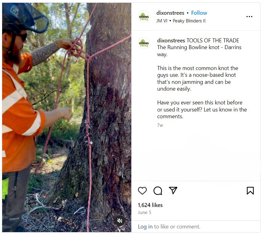 Explore Dixons Trees: Viral Videos & Arborist Insights